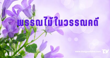 ภาษาไทย Archives - Page 3 of 5 - Thaigoodview