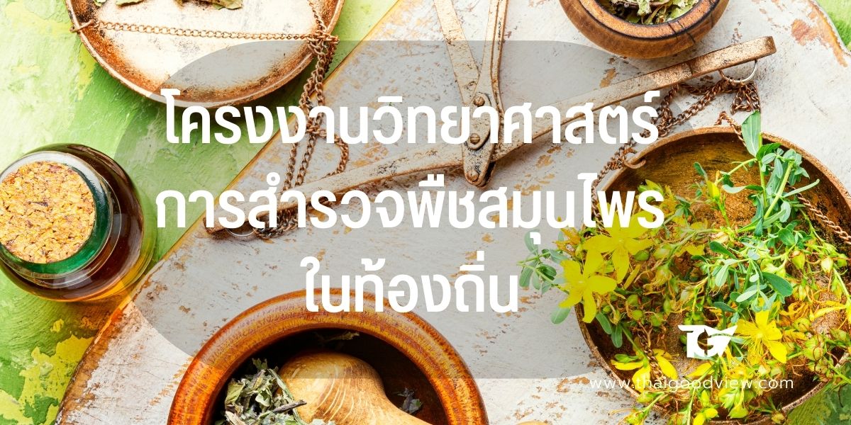 โครงงานวิทยาศาสตร์การสำรวจพืชสมุนไพรในท้องถิ่น - Thaigoodview